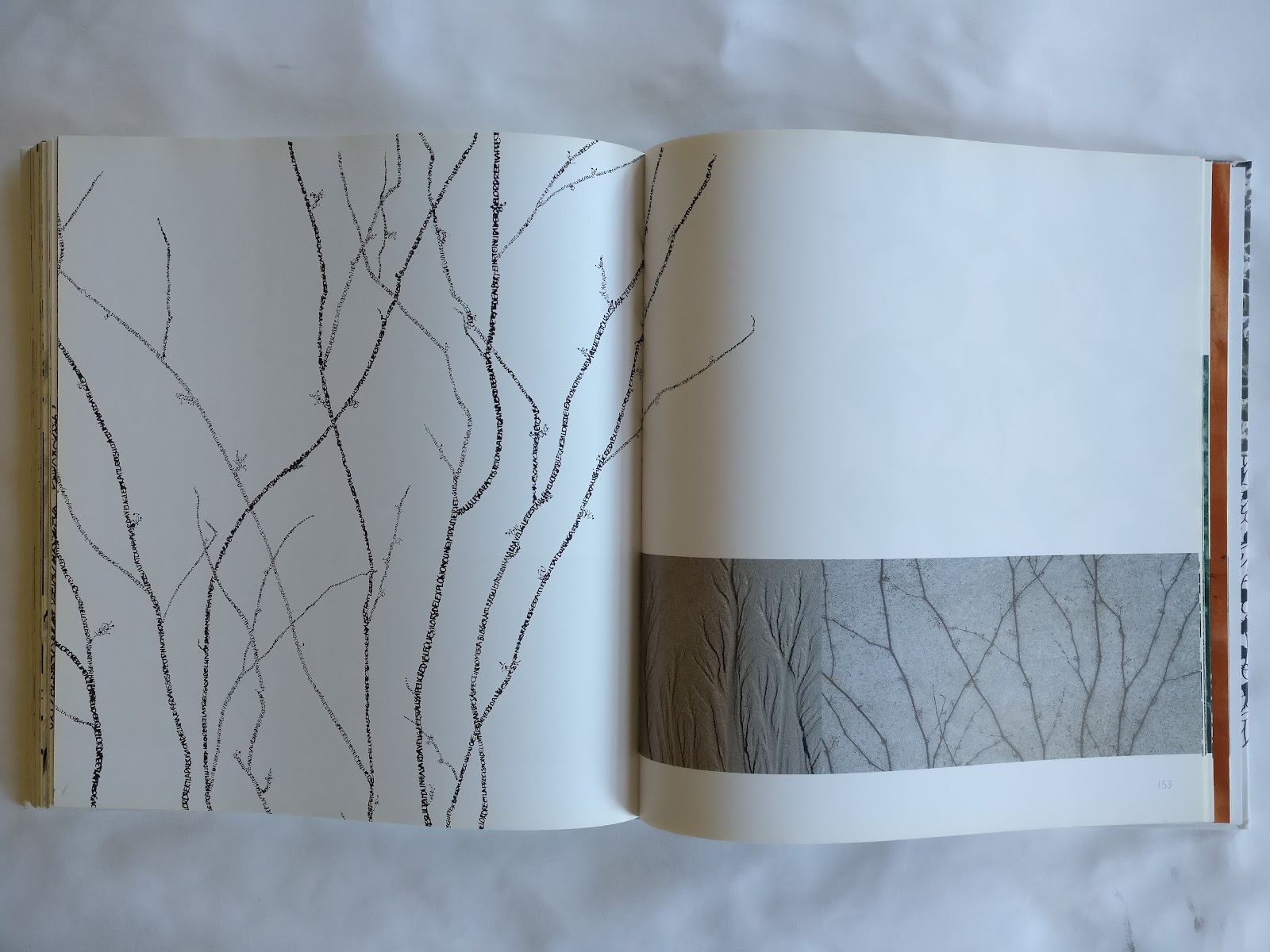 margaret-cooter: Cola pens