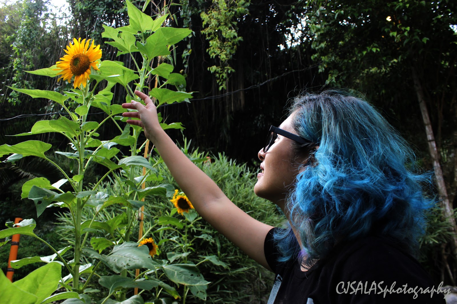 TEN7AVENUE: Travel | Experience Serenity at Davao Bamboo Sanctuary and ...