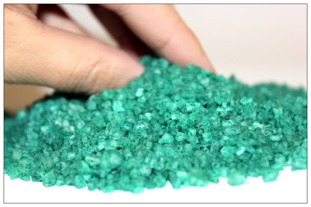 Review: GUAM Sali di Mare – Sea Salt Talasso - Fairyland of Beauty