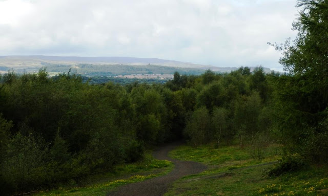 My Daily Walk: Fallin Bing