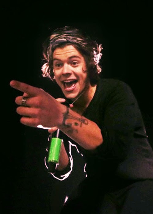 One Direction Girls ♥: Concierto en Santiago de Chile.-Where We Are ...