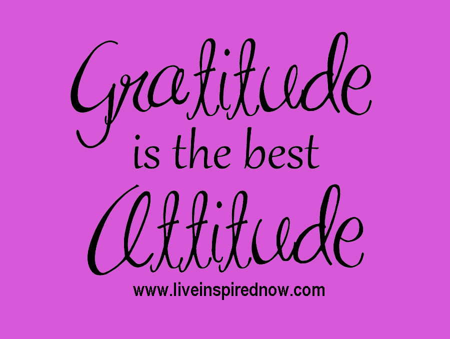 Heather Paris: 7 Character Strengths: Gratitude