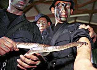 Blog beladiri dan Hankam: Peleton Intai Tempur (TONTAIPUR) KOSTRAD TNI