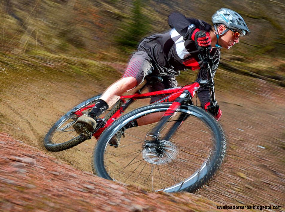 Specialized Rockhopper Mountain Bike | Wallpapers Area