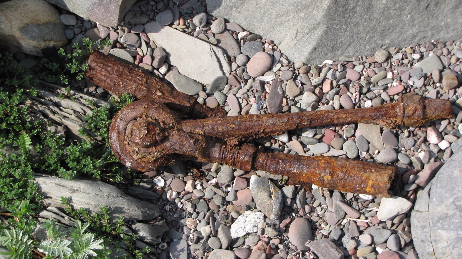 The Glebe Blog: Garlieston-A Good Friday Nature Walk with WW2 remnants