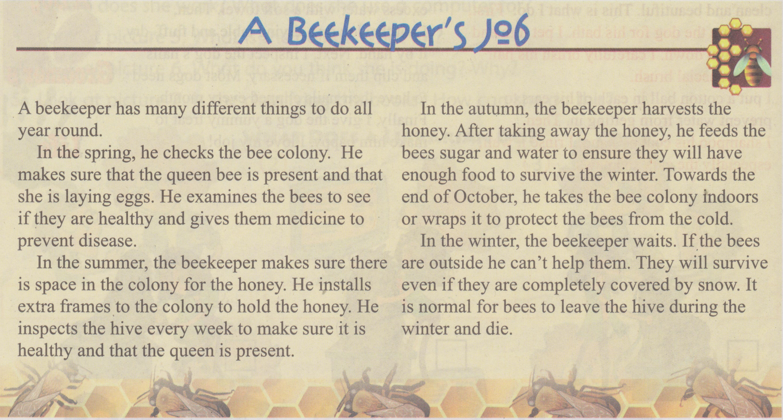 Miss Loregami: Illustrated reports!