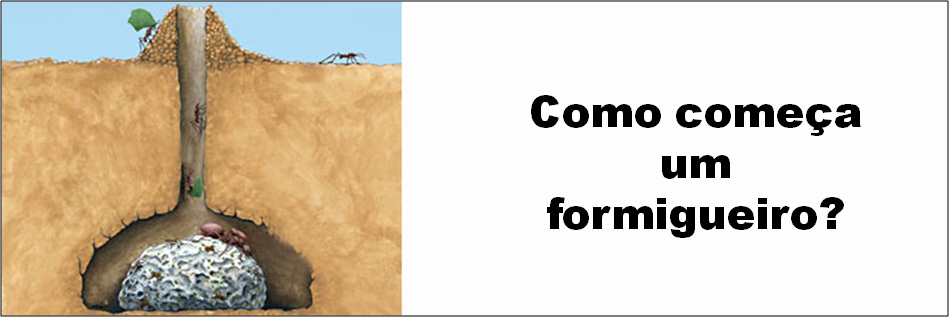 FAQBIO - Apoio ao Estudo de Biologia: Indicação de leitura - Como ...