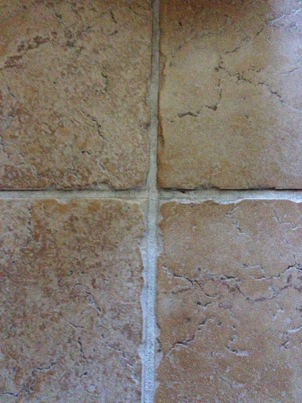 The Everyday Cinderella: Miracle Grout Cleaner!