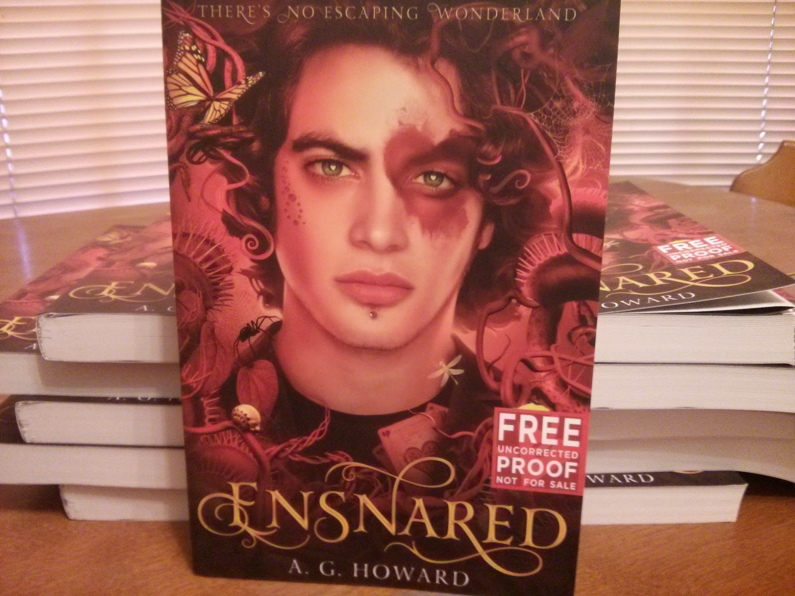 A Still and Quiet Madness ~A.G. Howard~: Ensnared Book Trailer Reveal ...