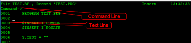 Temenos T24: T24 JED Editor Navigation and Quick Reference
