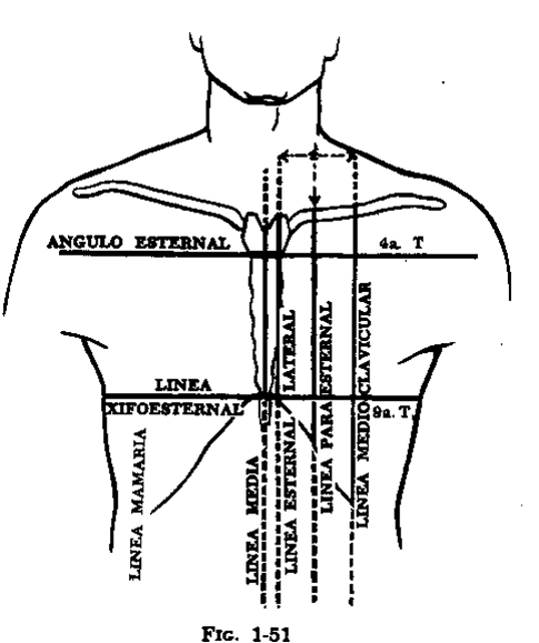 PRODUCCIÓN Y TRATAMIENTO DE IMAGENES DIAGNOSTICAS: ATLAS-TOPOGRAFÍA DE ...