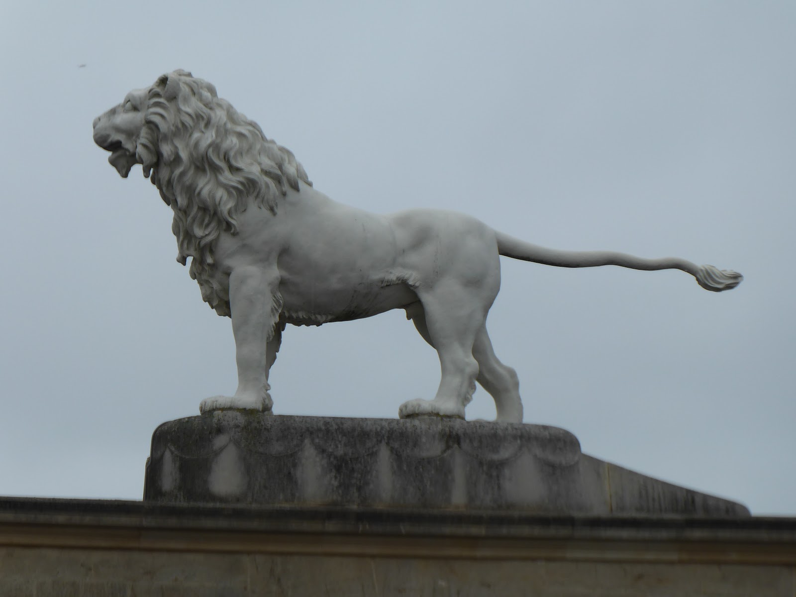 Harriet Steel's Blog: The Lion, the Wizard and the Princess