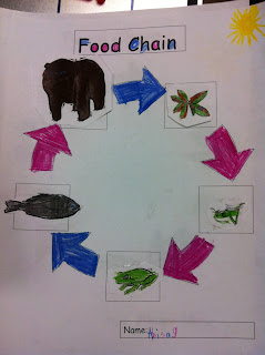 Primary ESOL: Food Chain