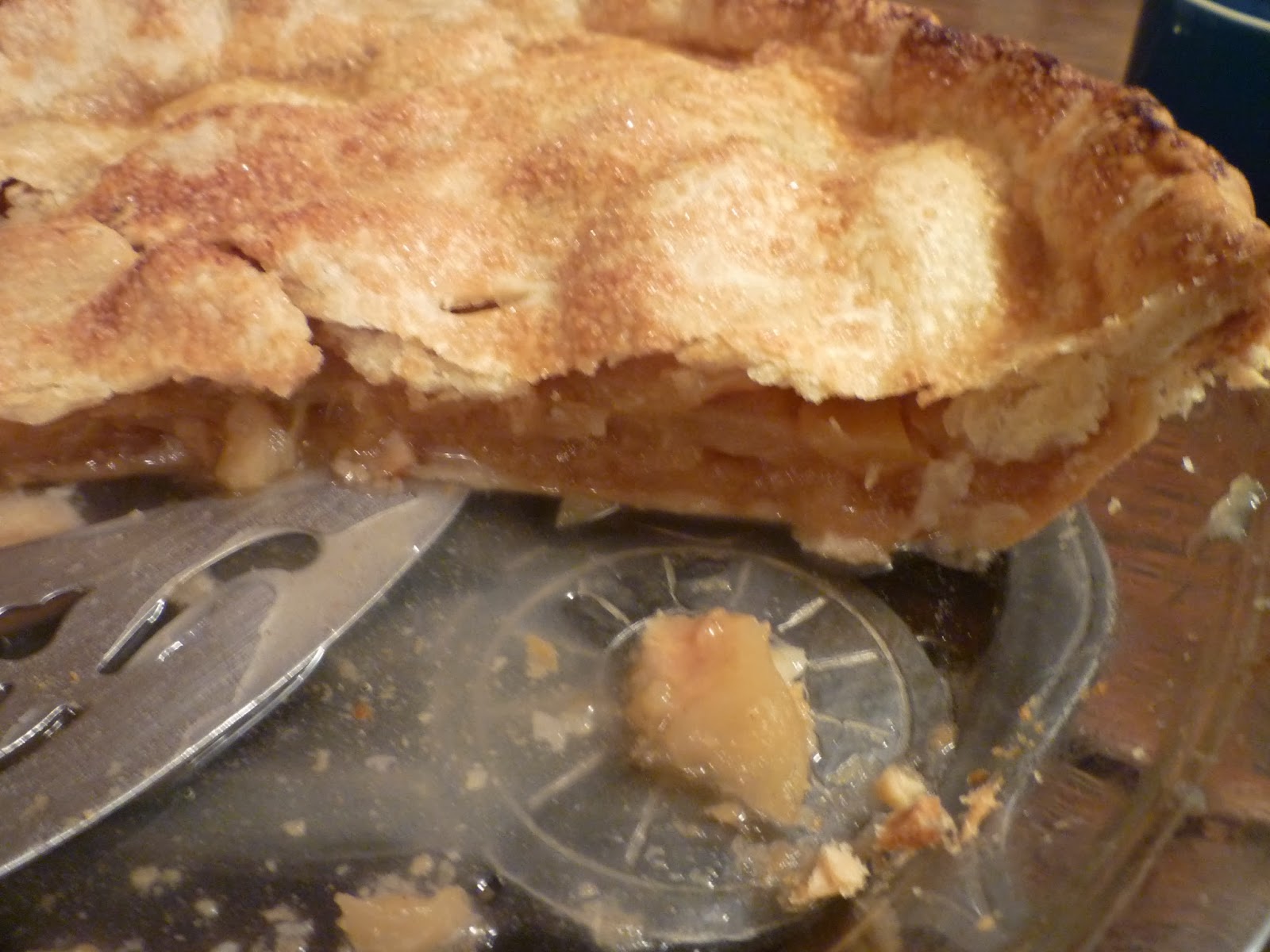 Gladsome Lights: Fuyu and Spy Lessons