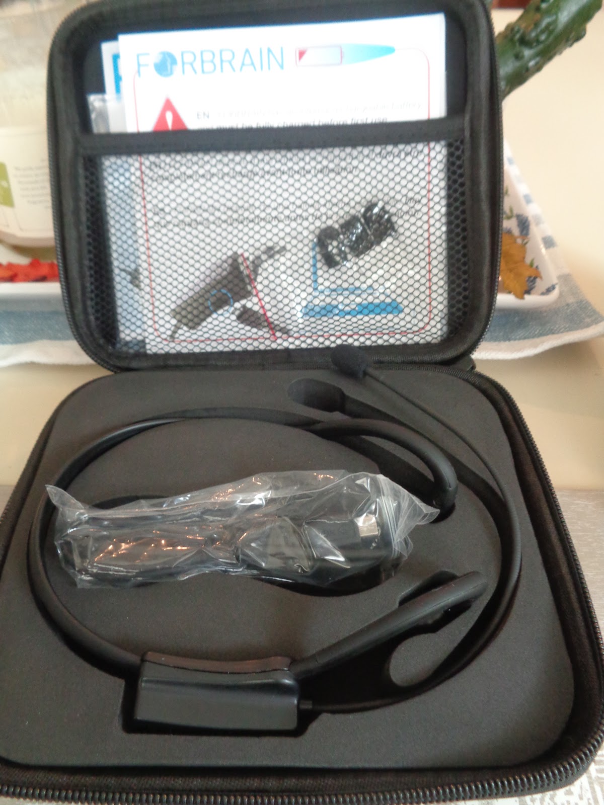 Homeschool On the Range: Forbrain for Speech Therapy {Review}