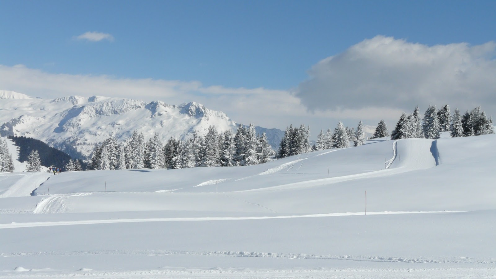 Bureau montagne ART' ITUDE: Les alpages de Bisanne - L'espace diamant ...
