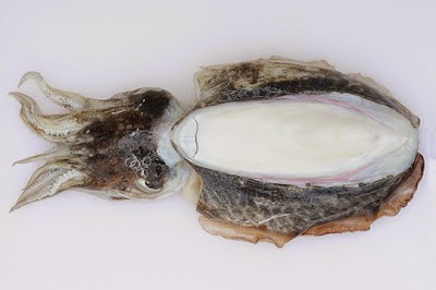 JIBIAS (CHOPITOS) EN SU JUGO AL LIMON | Mi Cocina