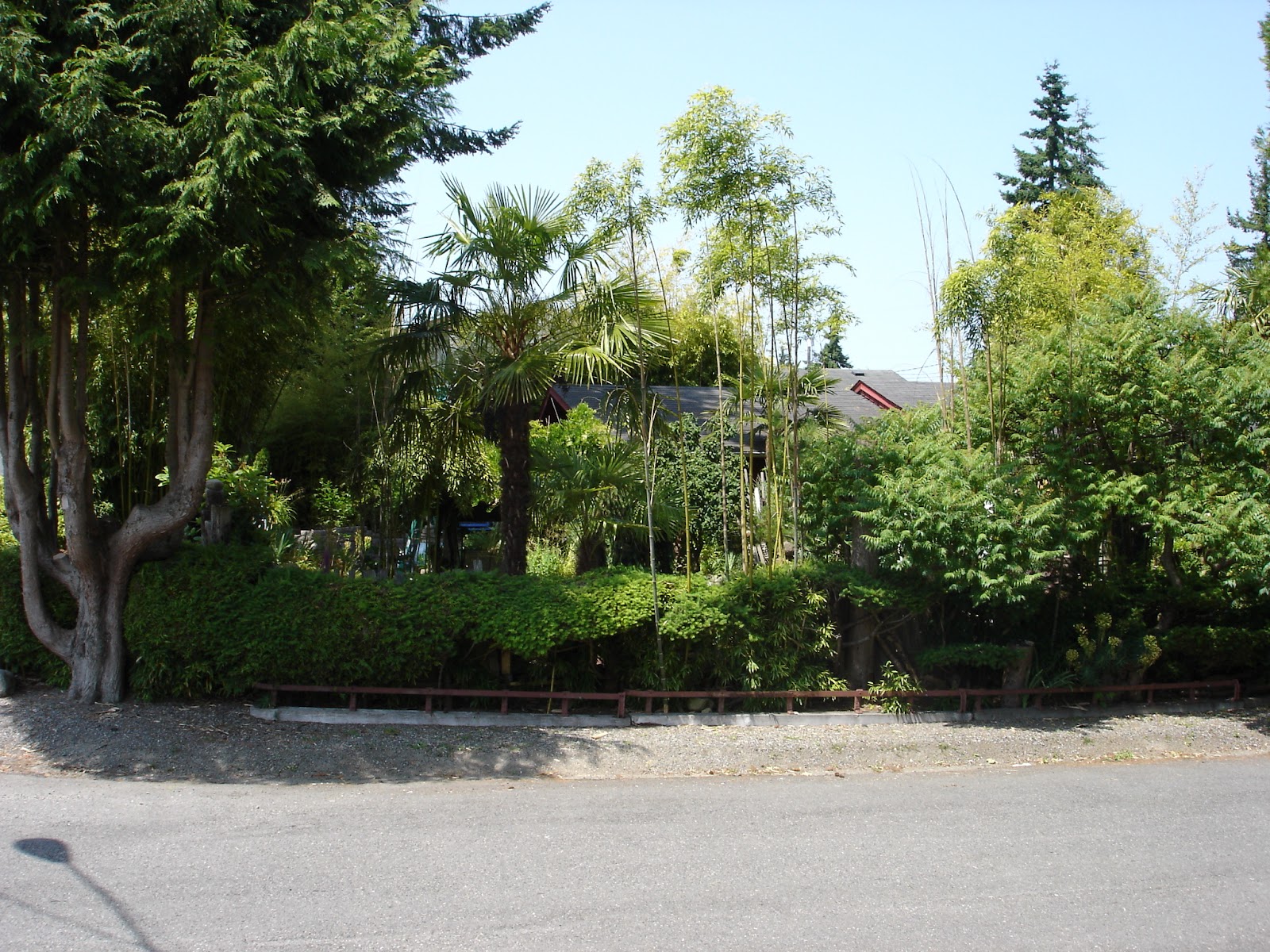 The Outlaw Gardener: A road less traveled; The garden of Mike Adcock