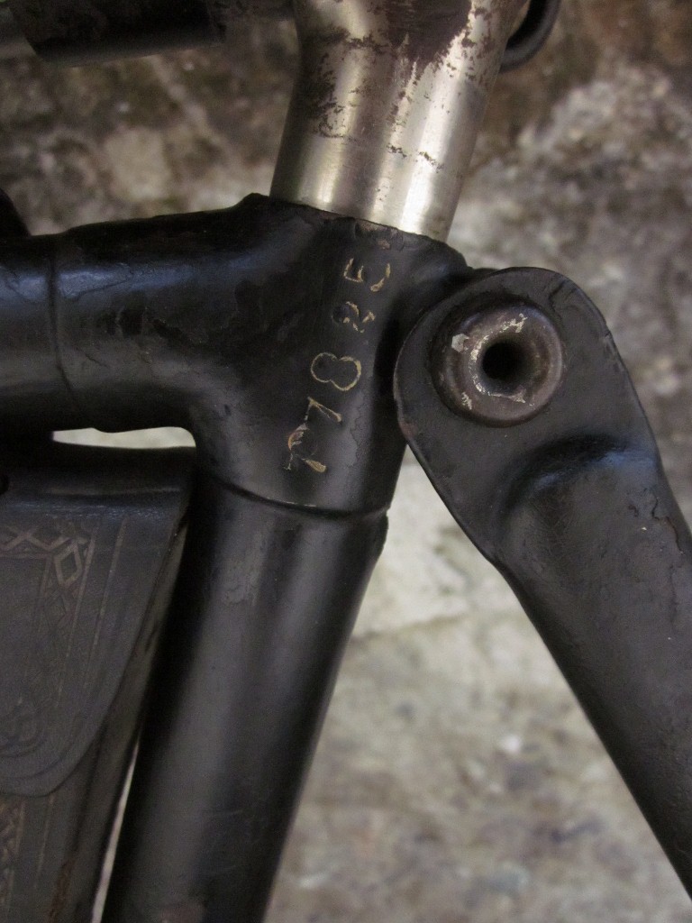 paramanubrio: Steyr 1901