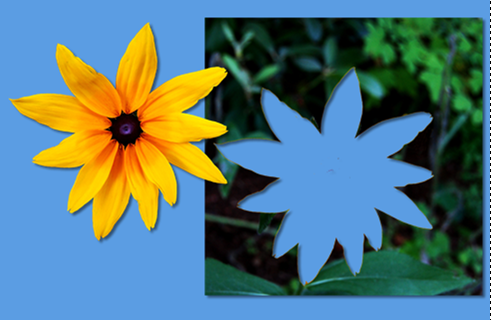 Capadia Designs: Real Flowers - printed and cut for a card