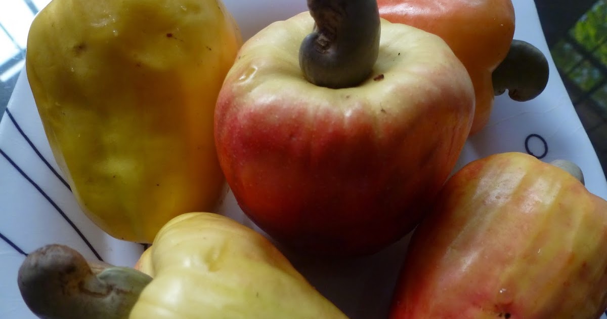 pepay's foodies and travels: Kasuy