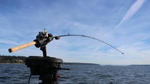 Mancing Ikan Besar Di Laut Lepas