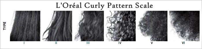 Chocolate Cats: New! Redken Curvaceous