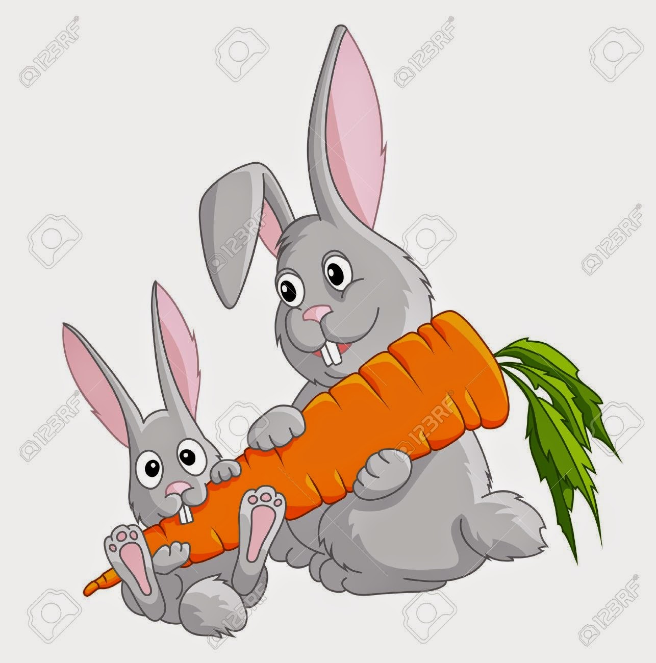 Colegio Miguel Covarrubias: El conejo Rabbit