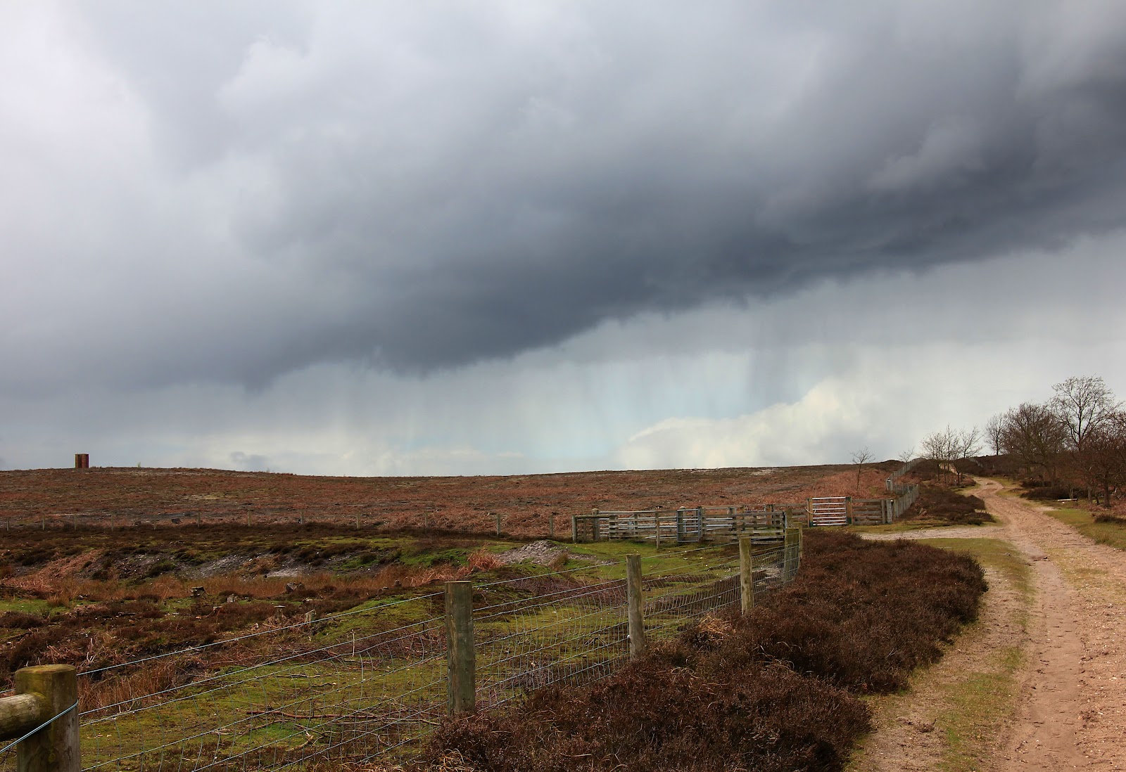 Friends of Chorlton Meadows: Roydon Common, North Norfolk