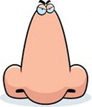 Inspiration to Dream: Yuck - couldn't do it myself.