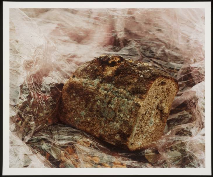 Photographers: March 2011