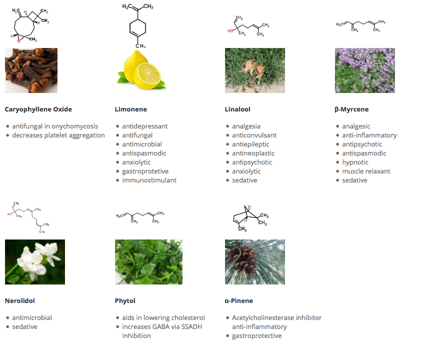 Rantings of a Budtender: Cannabinoids, Turpenes, and You.