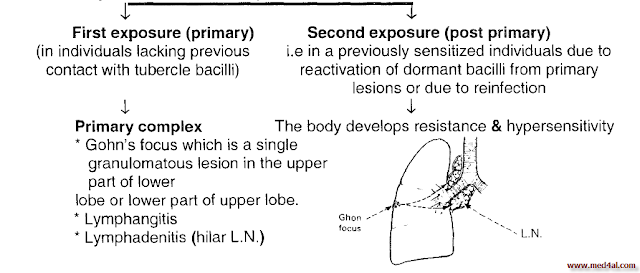 Pulmonary Tuberculosis Pathophysiology Diagram