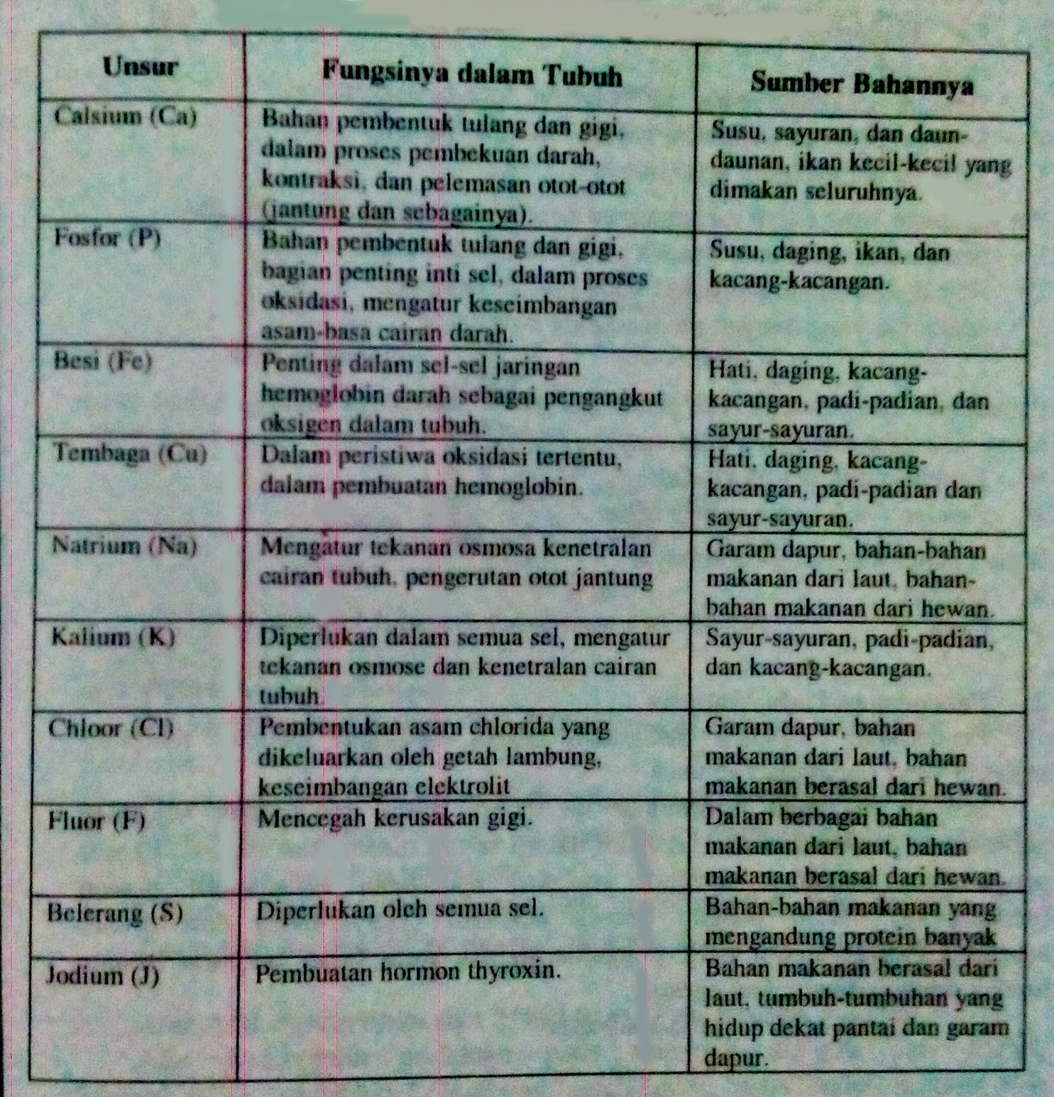 ZAT GARAM MINERAL DAN FUNGSINYA UNTUK TUBUH | VISIUNIVERSAL