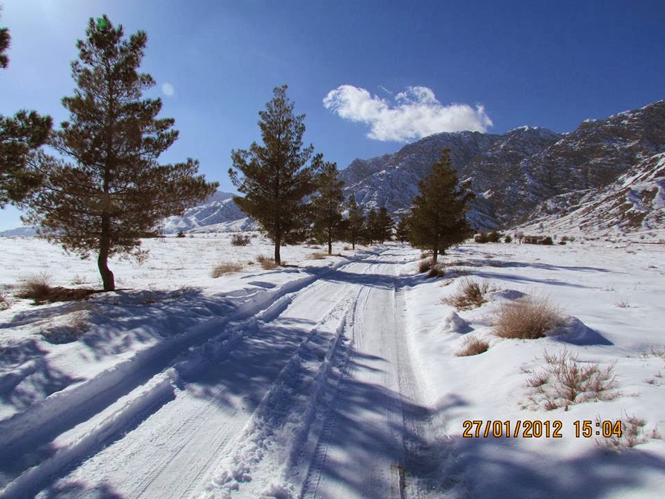 Hazarganji Chiltan National Park,Quetta-Balochistan, Pakistan ...