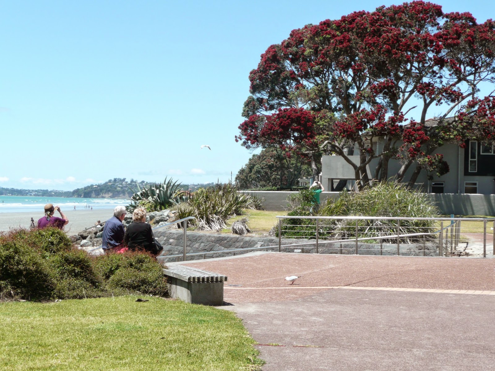 BreathlessinOrewa