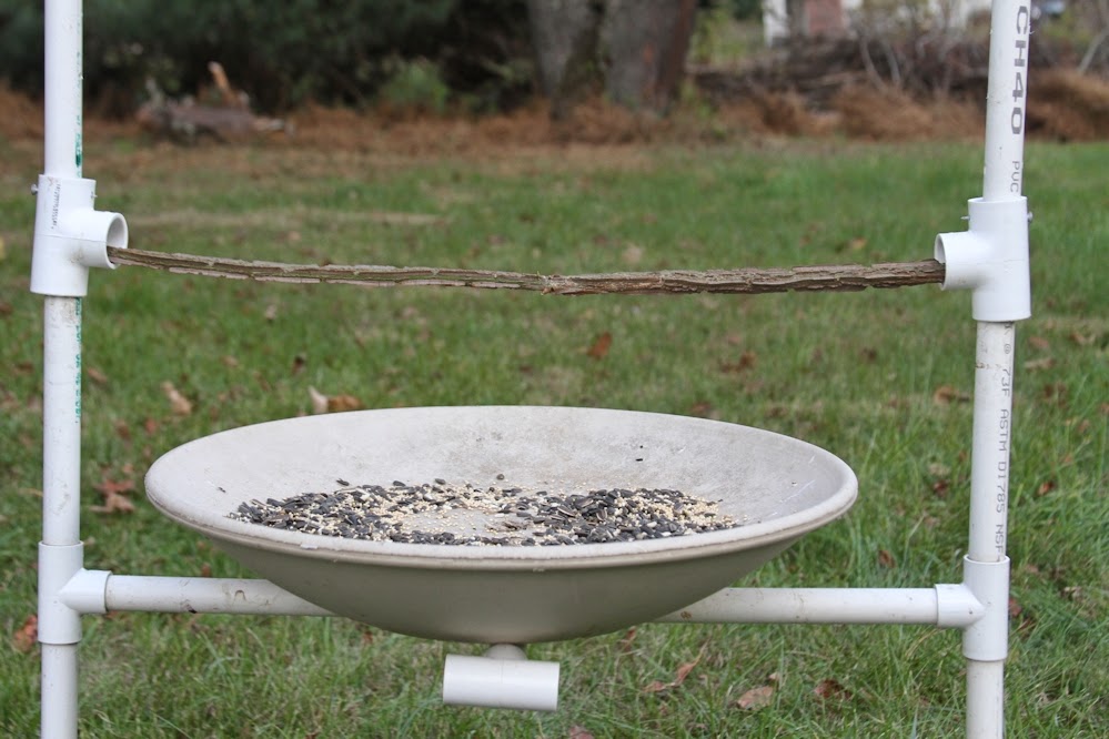 Steve Byland Nature Photography