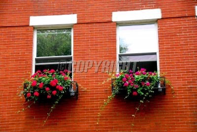 blog DD: brick story