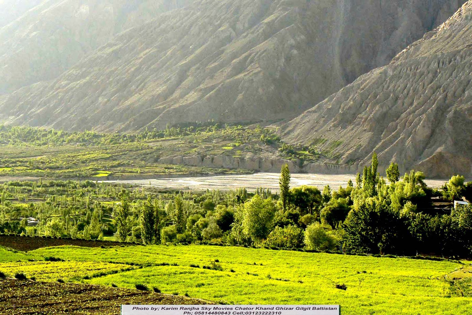 LOCAL SUPPORT ORGANIZATION ...............CHATORKHAND...............