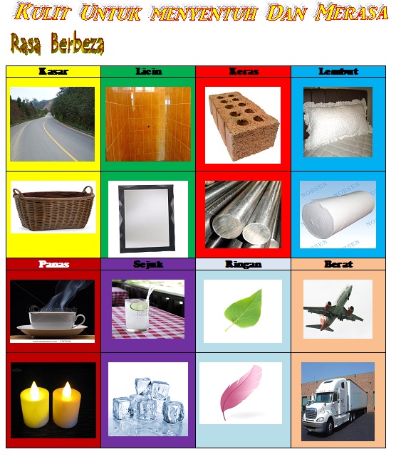 SAINS TAHUN 1: Deria Sentuhan