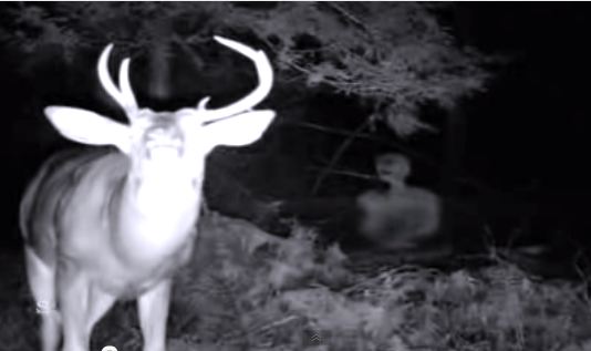 Weird Alien, Zombie Caught On Trail Cam 2012 HD | Beyond Science ...