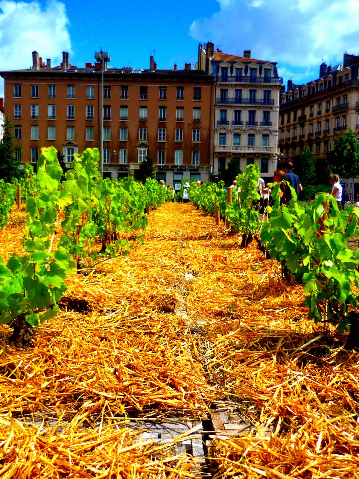 BMEAJ: Nature Capitale Lyon