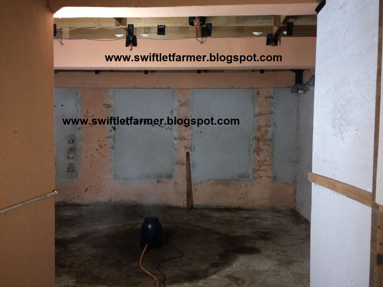 Swiftlet Farming : Swiftlets Farming Equipments, Edible Birds Nest and ...
