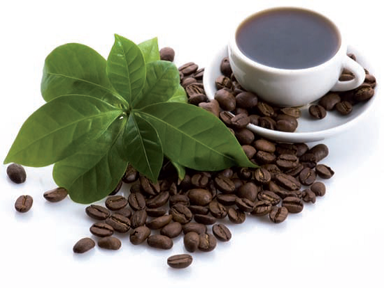 elaboracion de cafe de haba