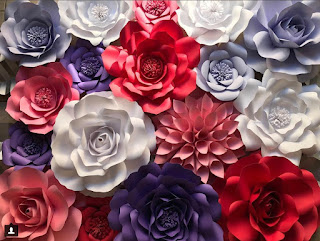 Artist of the Week: Backdrop In A Box"