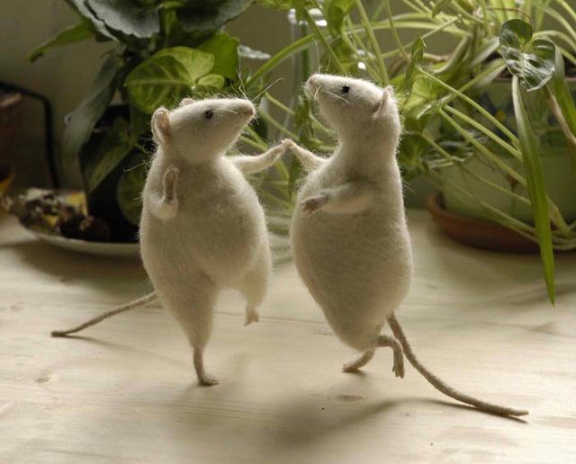 Dancing mouse..!! - Funny Pictures, Funny Videos, Free Games