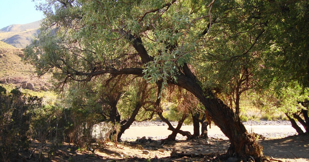 KMxKM: Paisajes simples