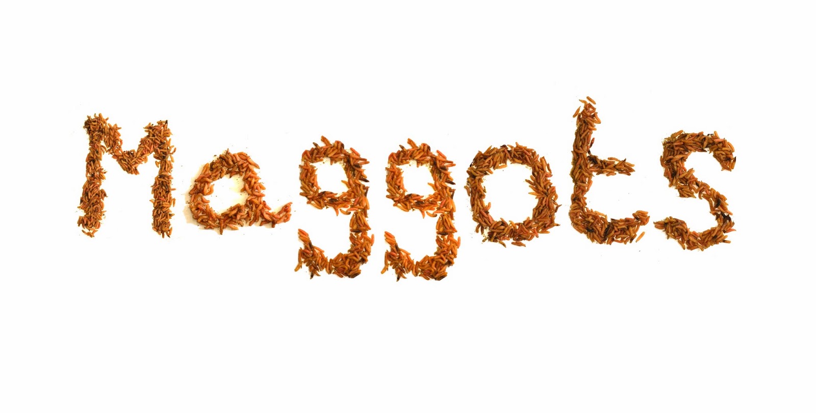 Anna Terreros-Martin's Online Portfolio