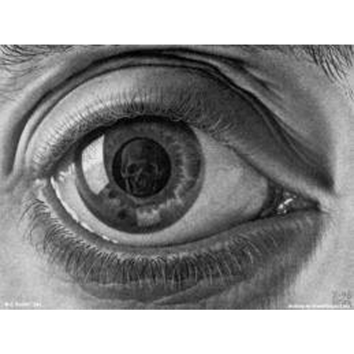 my first blog for art 363b illustration: My eye and a famous eye
