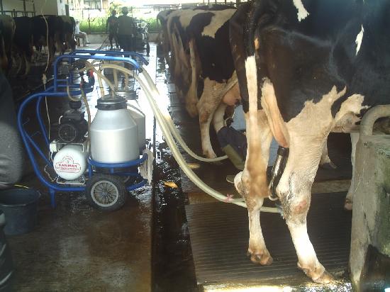 Sumatera Siberia Tour & Travel: STUDY TOUR BRASTAGI